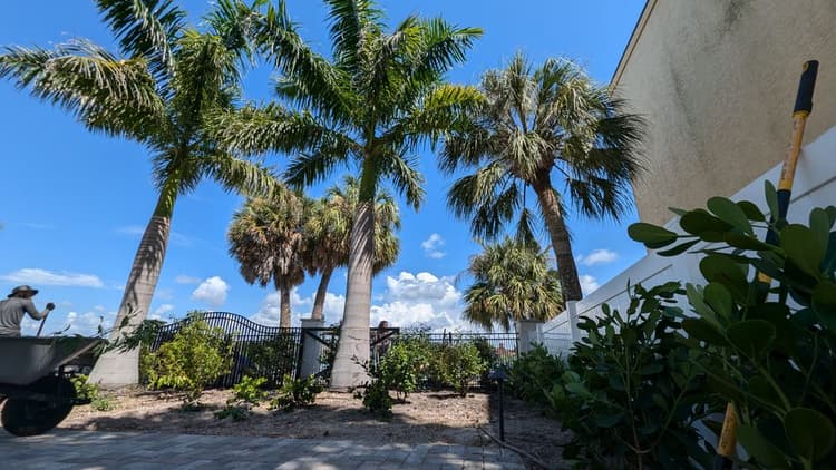 Florida Native Landscape Design Services | Living Spaces Gardening